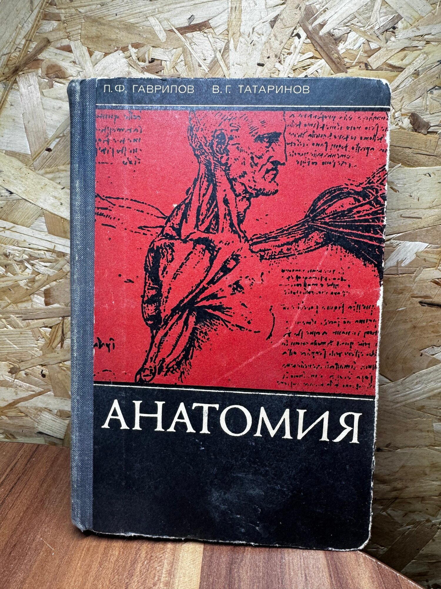 Анатомия