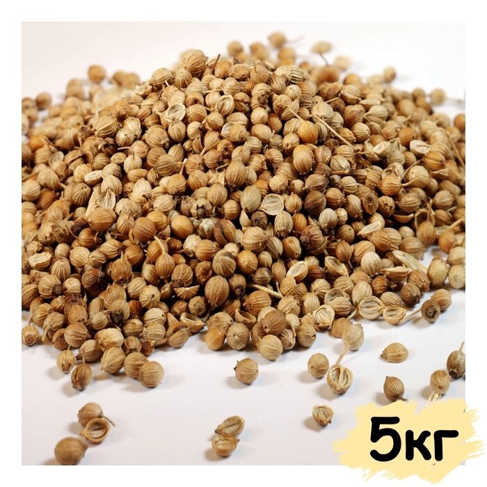 Кориандр зерно (целый) 5 000 гр, 5 кг, Вегетарианский продукт, Vegan
