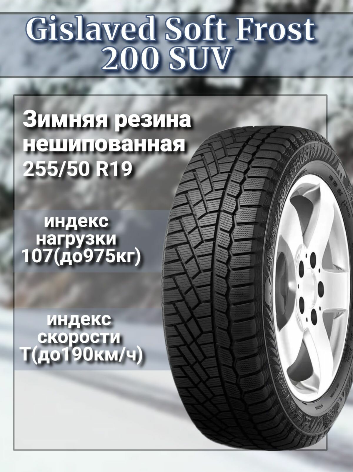 Шина зимняя для легкового автомобиля Gislaved Soft Frost 200 SUV 255/50 R19 107T