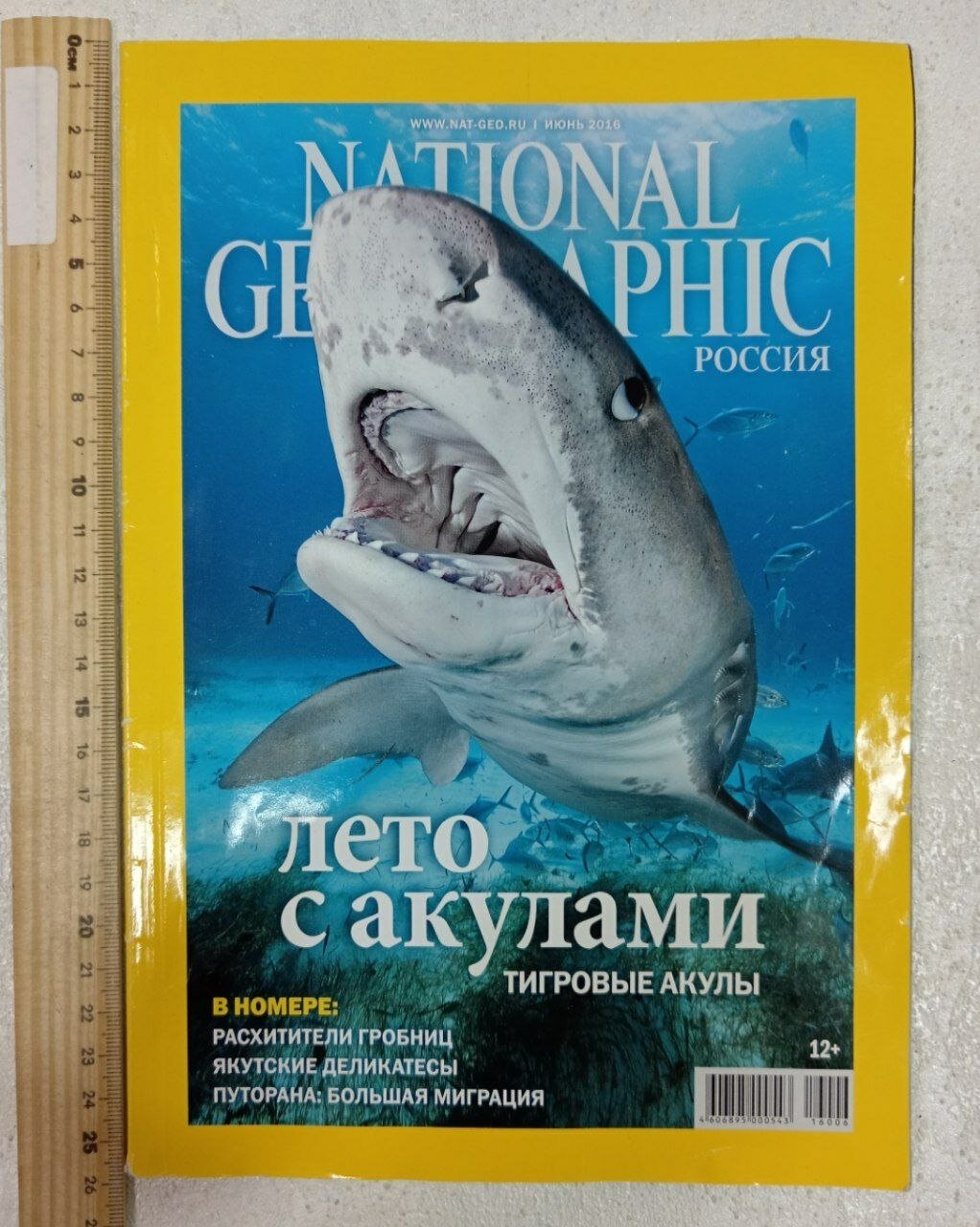 Журнал National Geographic. Россия, июнь 2016