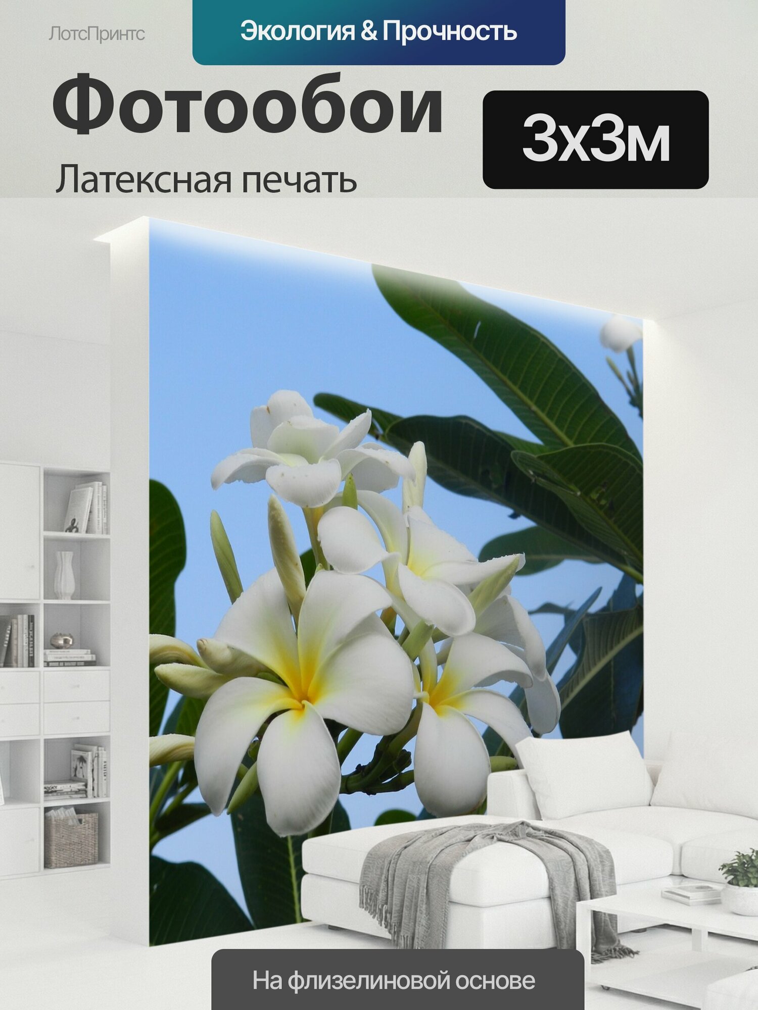 Фотообои моющиеся ударопрочные "Ароматные цветы, белые цветы, франжипани" 300x300 см. латексная печать
