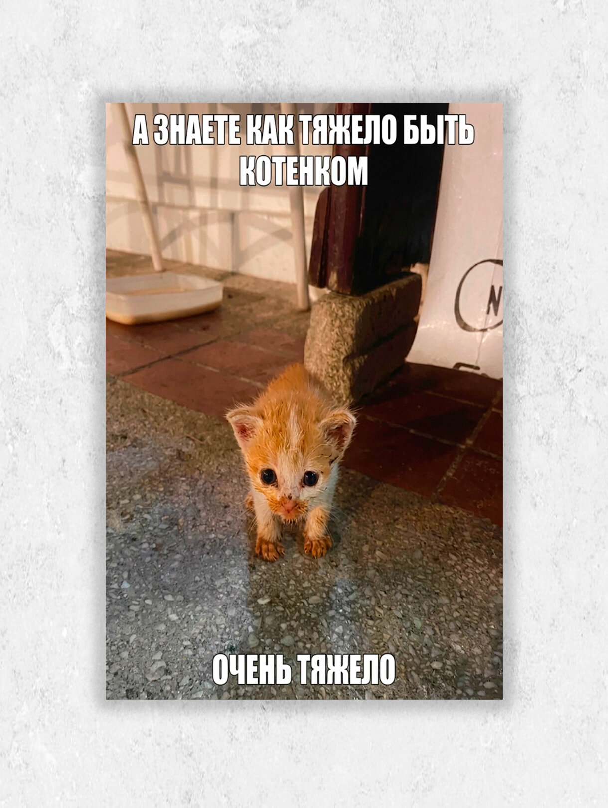 Плакат-мем "Тяжело котёнку"