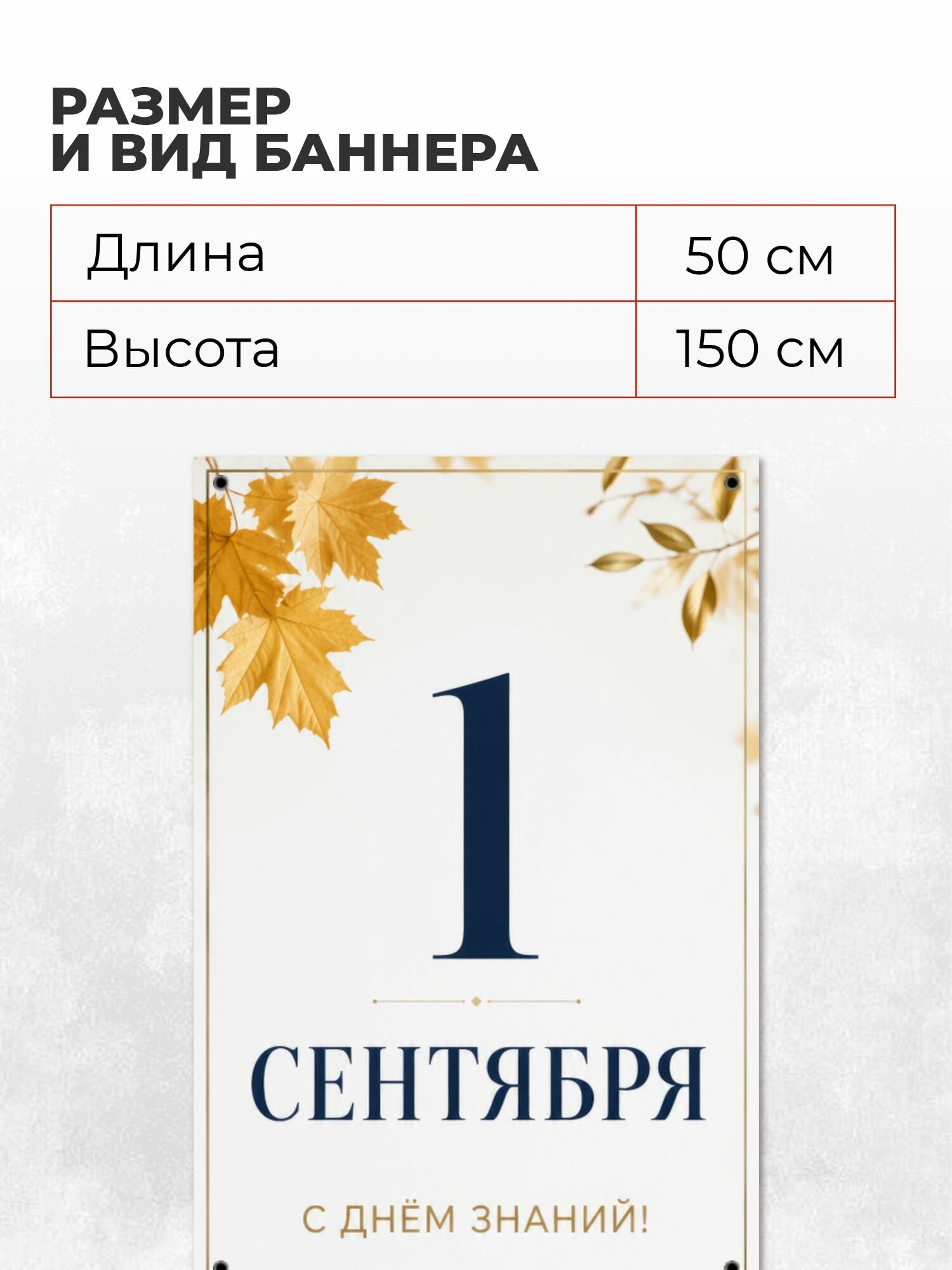 Баннер 1 сентября — фото 1