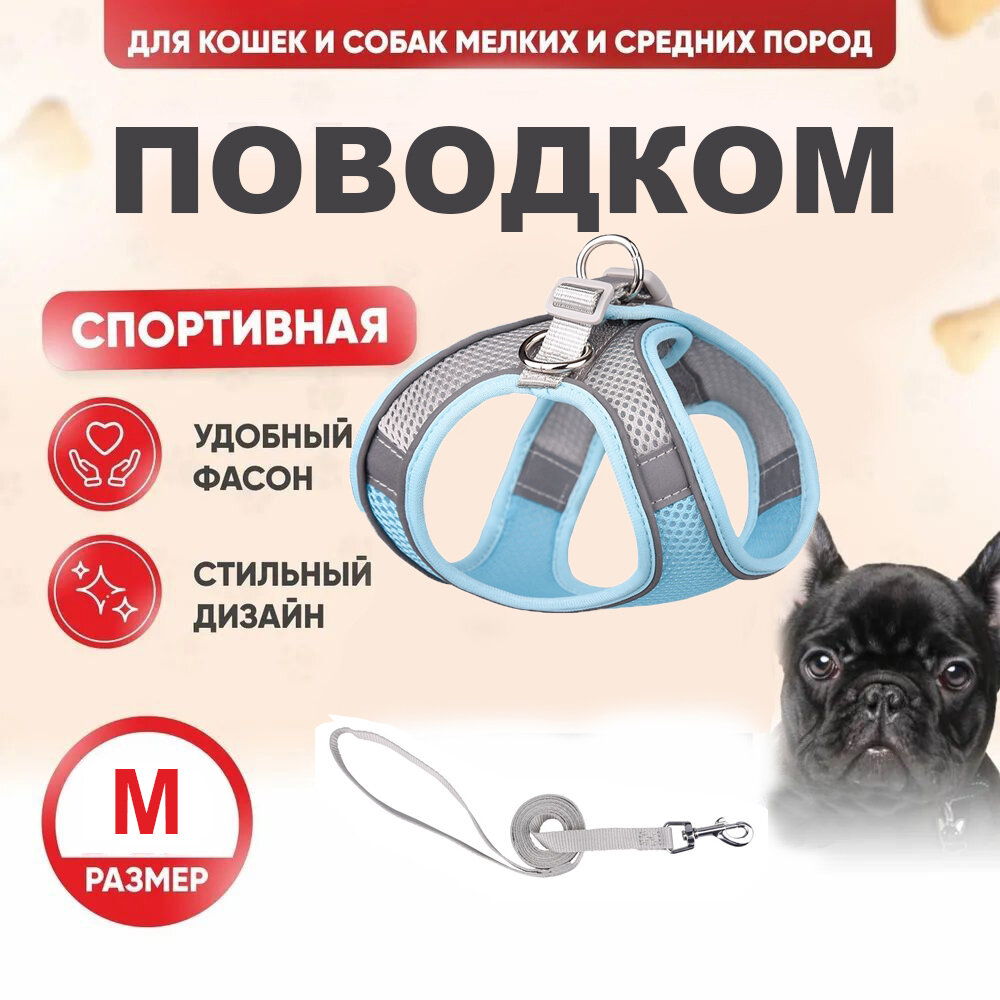 Шлейка для кошек с поводком M, для кошек 6-7.5 кг, шлейка для собак мелких пород