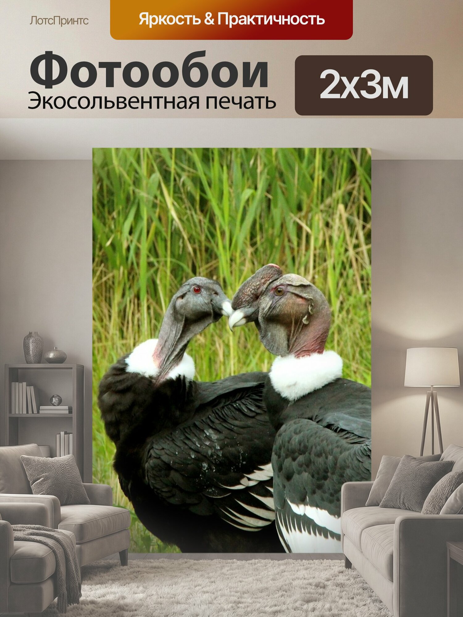 Фотообои "Кондор, кондоров, андский кондор" 200x300 см. экосольвентная печать