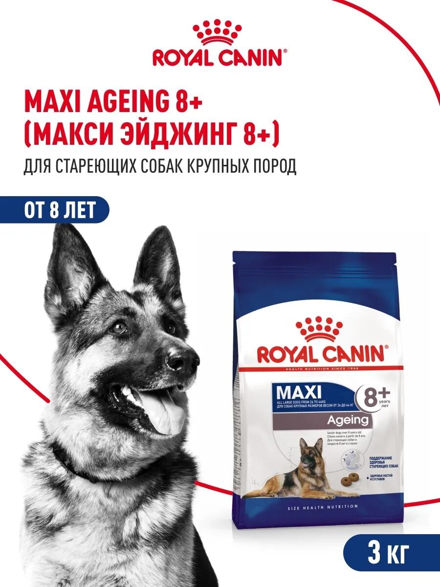 Сухой корм ROYAL CANIN MAXI AGEING 8+ для собак старше 8 лет, весом от 26 до 44 кг для крупных пород, 3 кг