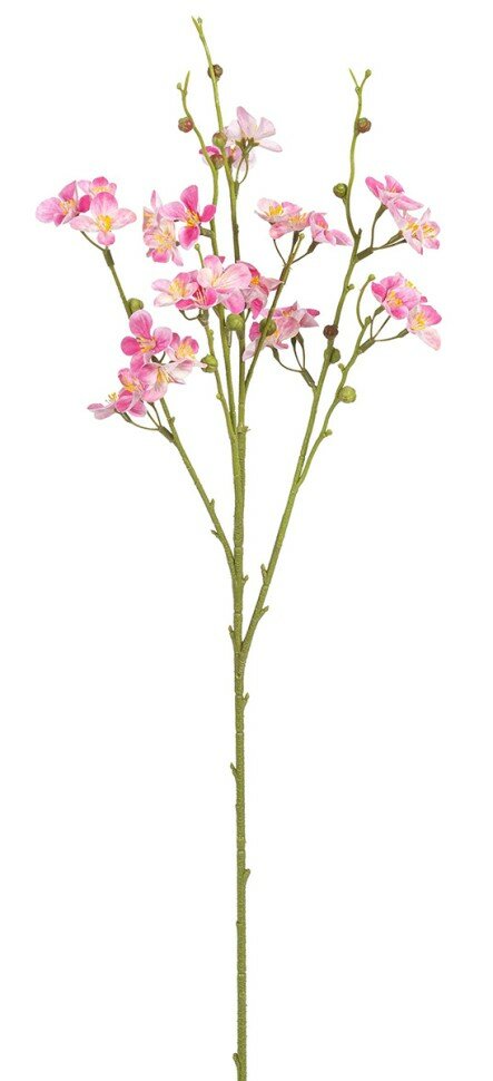Fiebiger Floristik 203861-400 Ветка декоративная "Миндаль", 71 см