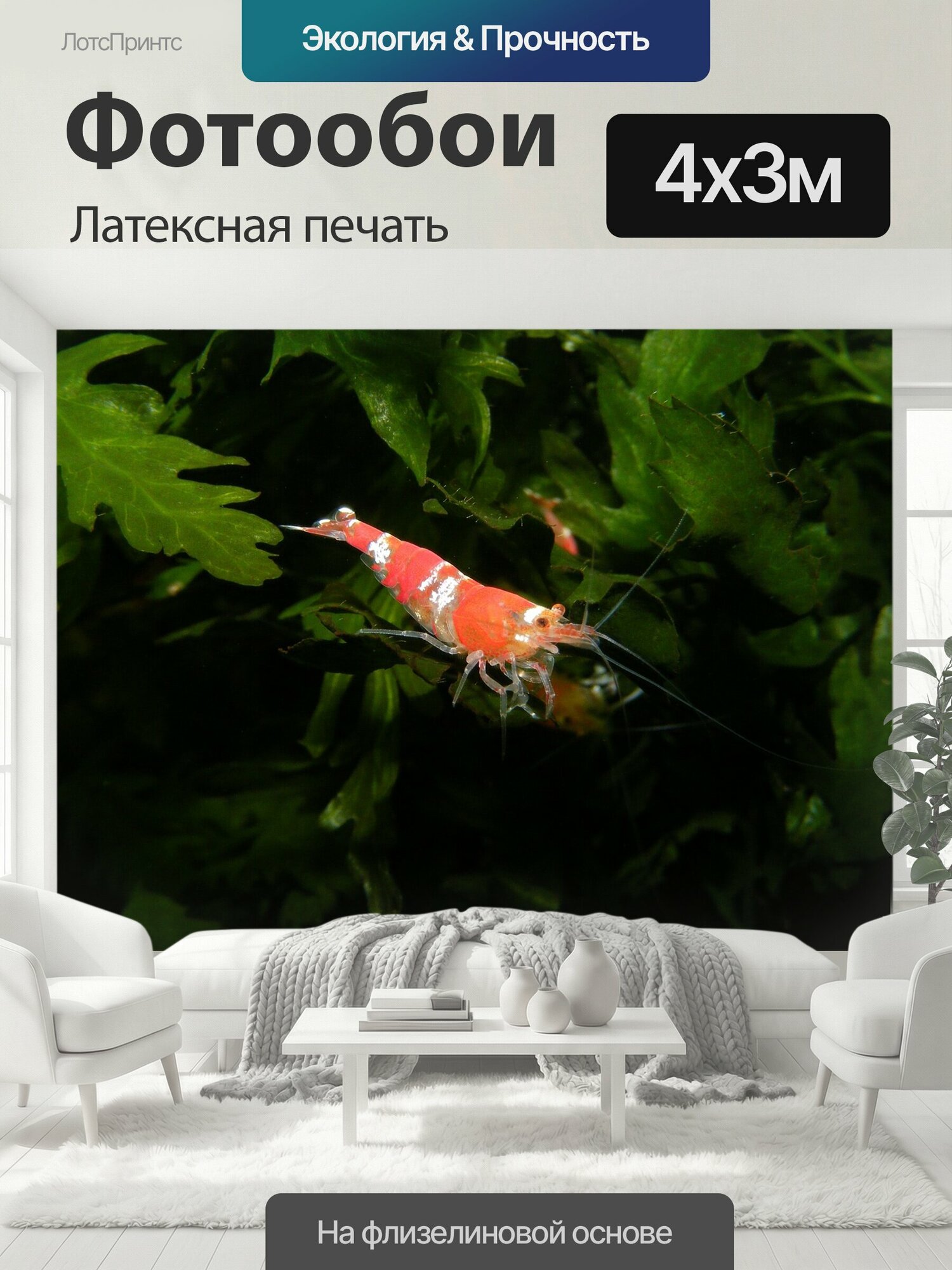 Фотообои моющиеся ударопрочные "Креветка, аквариум, существо" 400x300 см. латексная печать