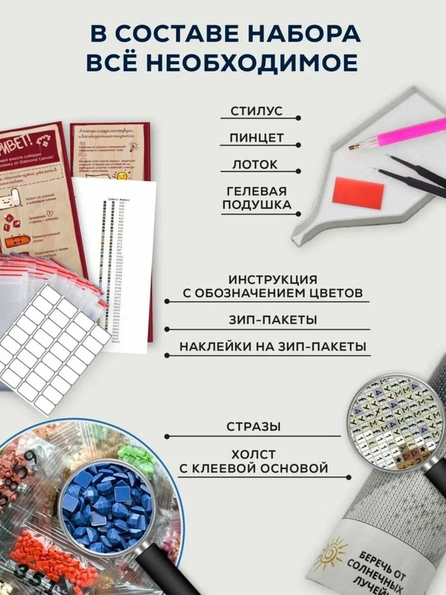 Алмазная мозаика 40x60 Чихуахуа смешная без подрамника