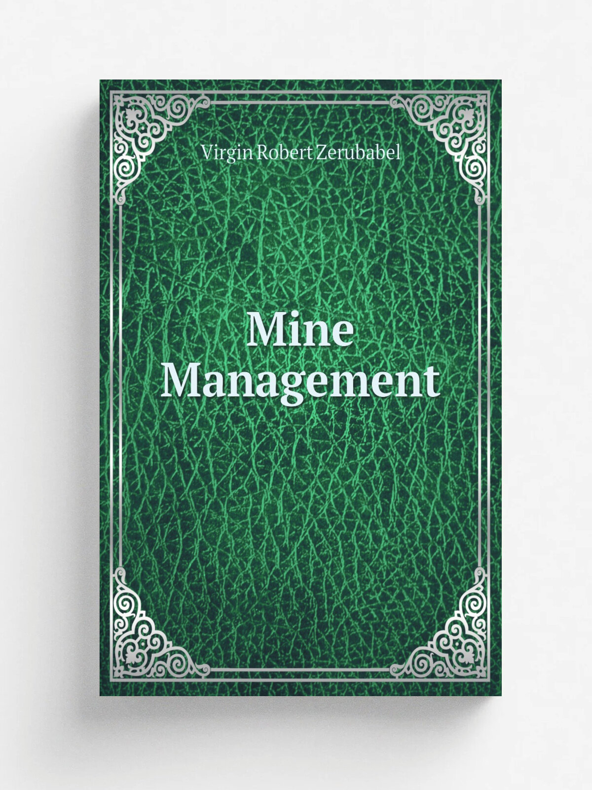 Mine Management