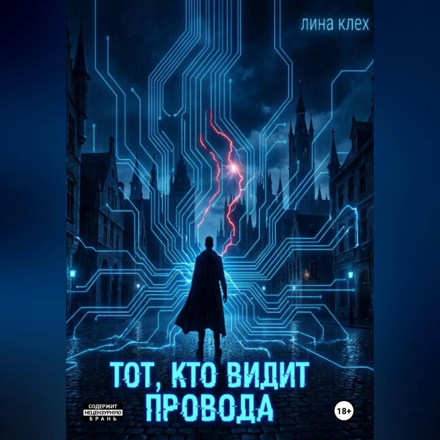 Тот, кто видит провода [Аудиокнига]