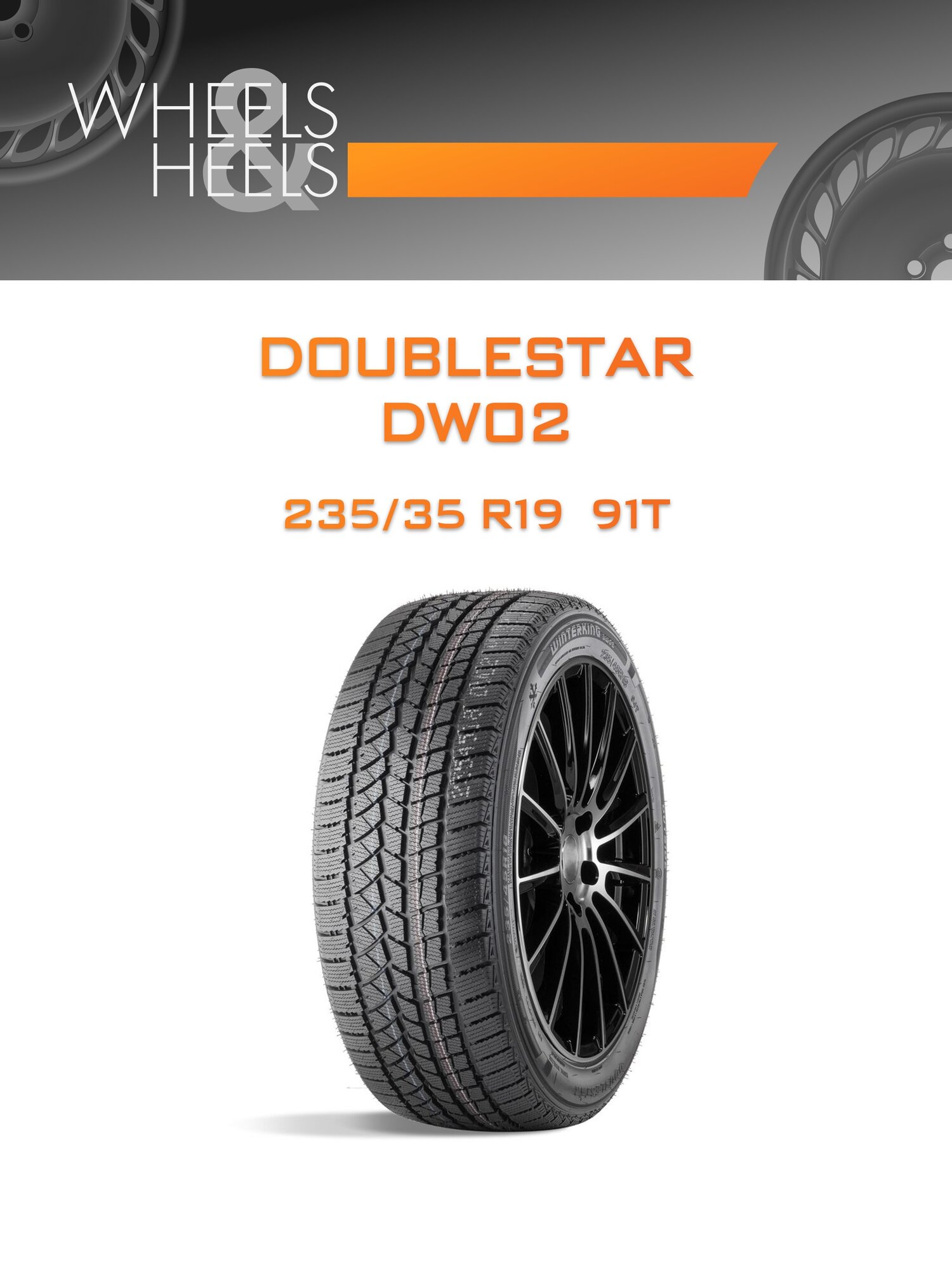 Шина автомобильная DoubleStar DW02 235/35 R19 91T WINTER, зимняя, универсальная
