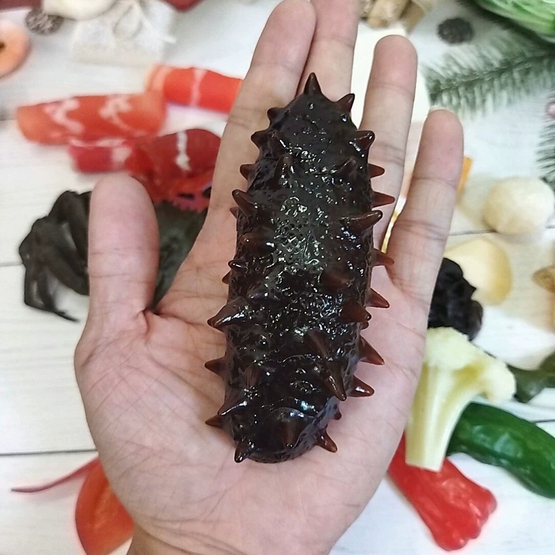 Фотографические аксессуары: Модель средней морской капусты 11x4,7 см, реалистичное украшение