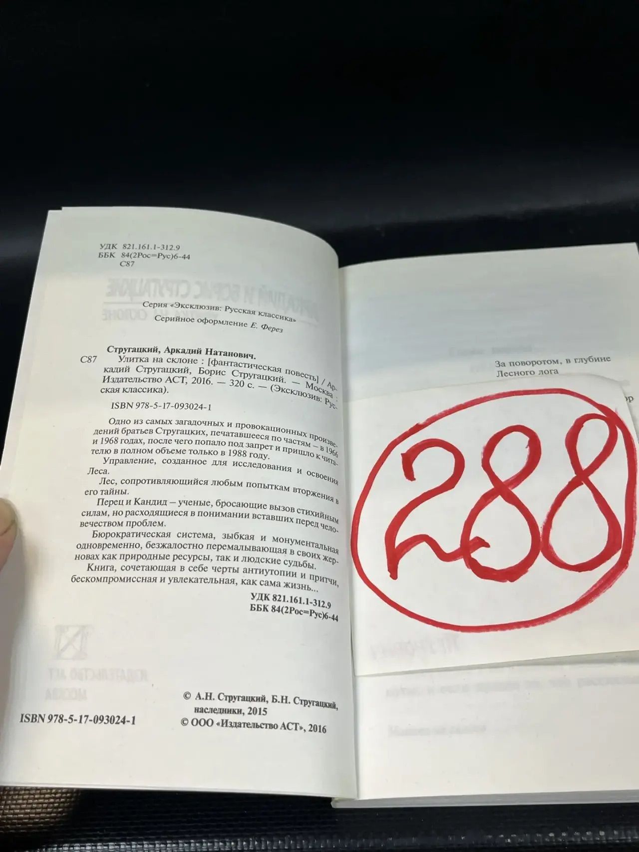 Улитка на склоне — фото 1