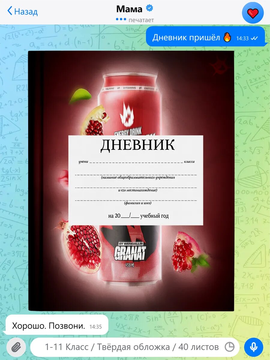Школьный дневник с принтом Роблокс