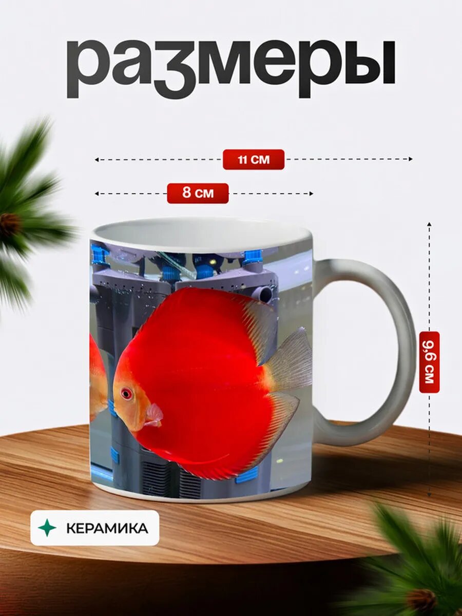 Кружка Дискус рыбка 30, — фото 1
