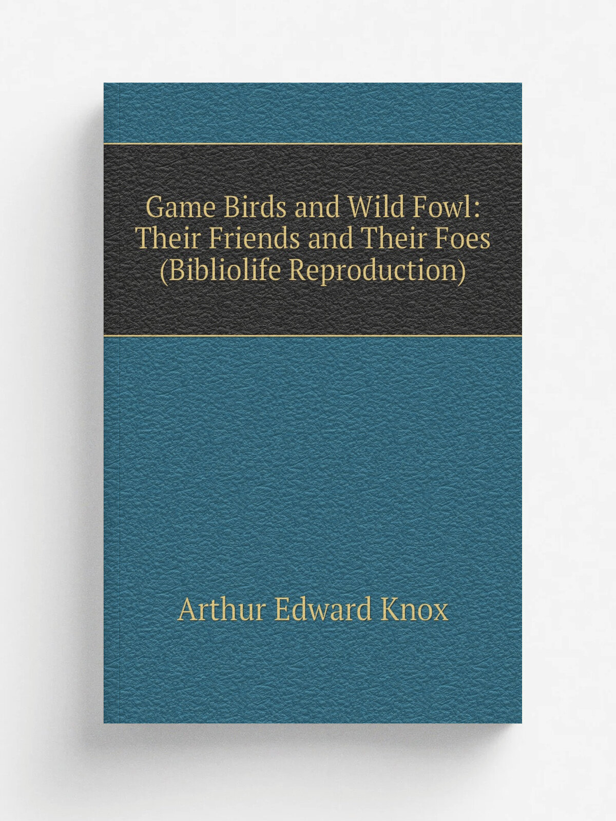 Game Birds and Wild Fowl: Their Friends and Their Foes (Bibliolife Reproduction)