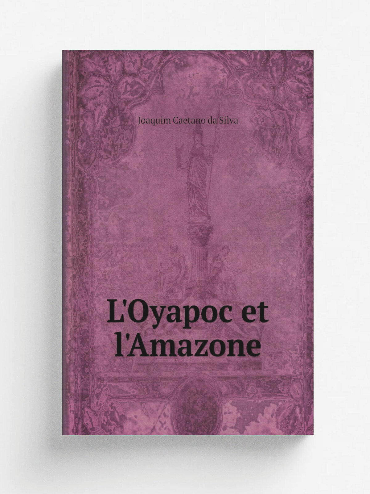 L'Oyapoc et l'Amazone | Joaquim Caetano da Silva | 1861 | Impr. de L. Martinet | Репринт