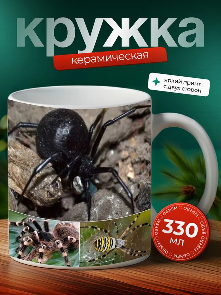 Кружка Локсосцелес паук паукообразное 14,