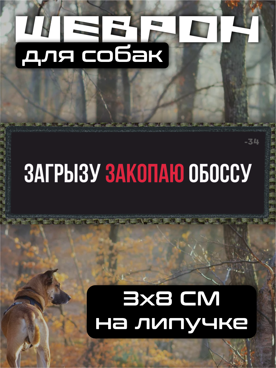 Шеврон на липучке для собак Загрызу закопаю обоссу