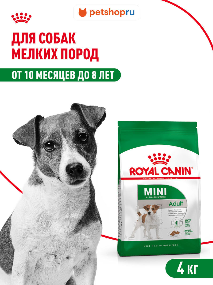 Royal Canin Корм сухой для взрослых собак мелких размеров от 10 месяцев, Mini Adult