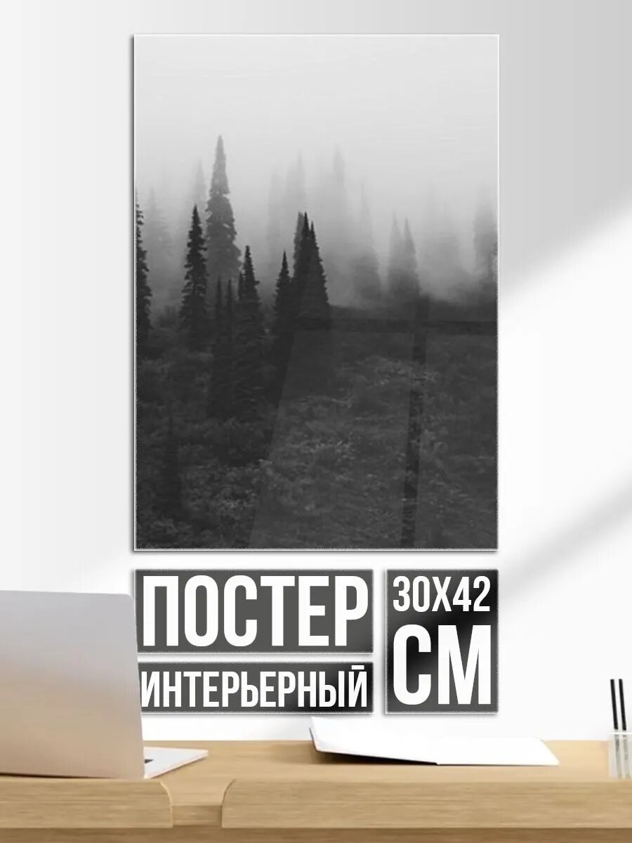 Постер на стену Туманный лес - туман