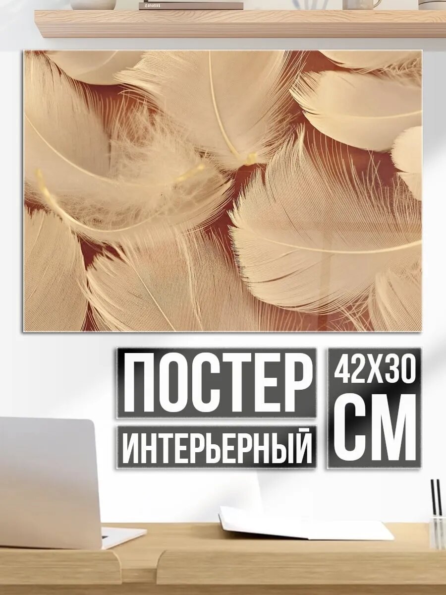 Плакат постер Белые перья