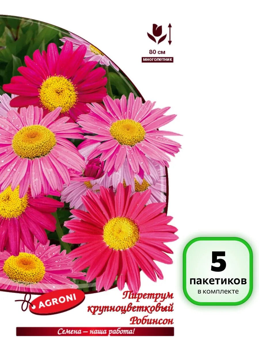(5 шт.) - Семена Пиретрум крупноцветковый Робинсон (0,1г)