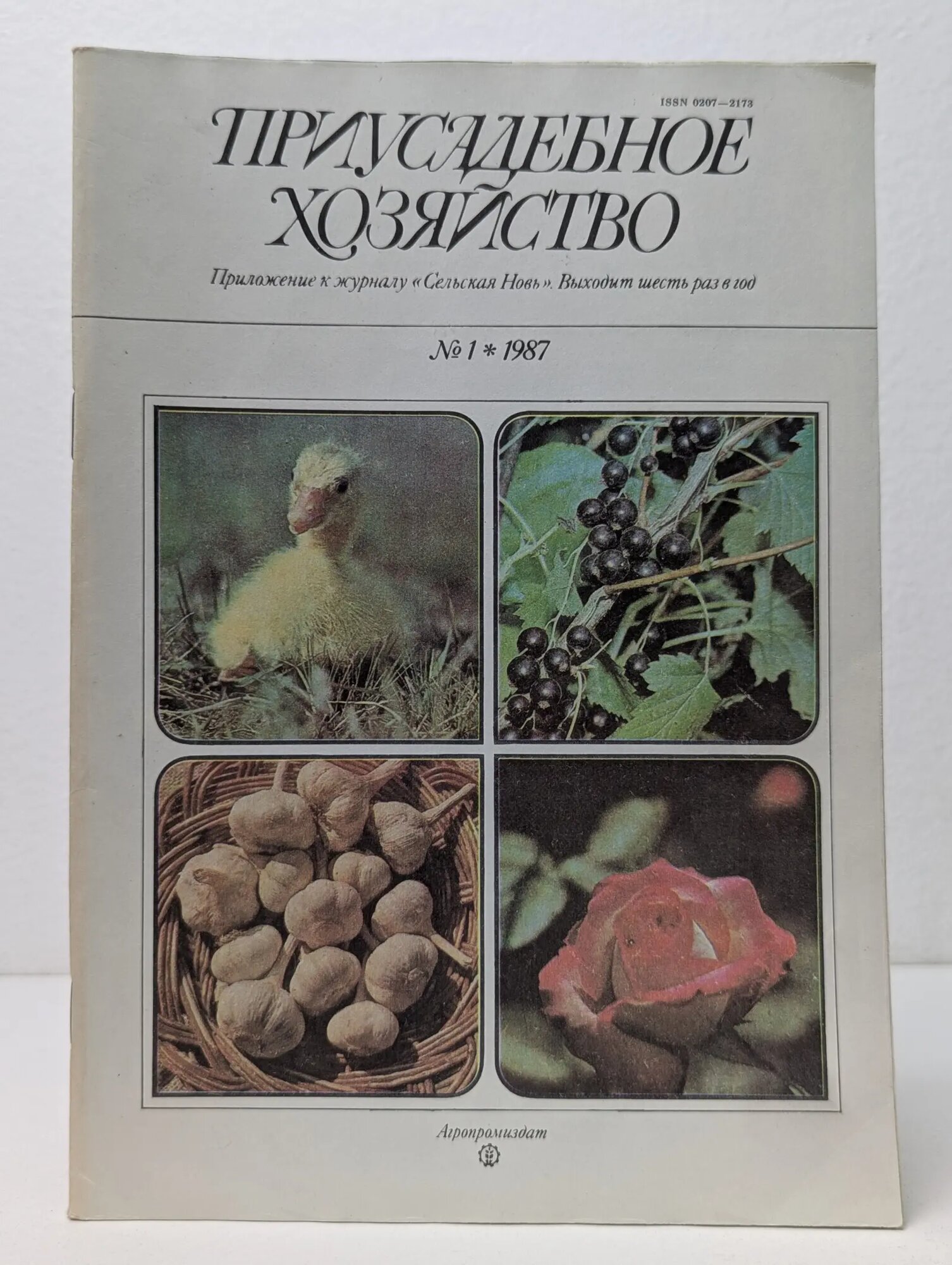 Приусадебное хозяйство. Выпуск № 1/1987 Сборник 1987