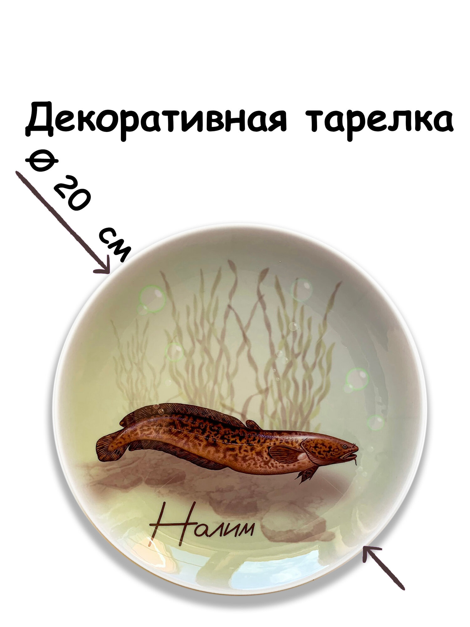 Декоративная настенная тарелка с изображением налима