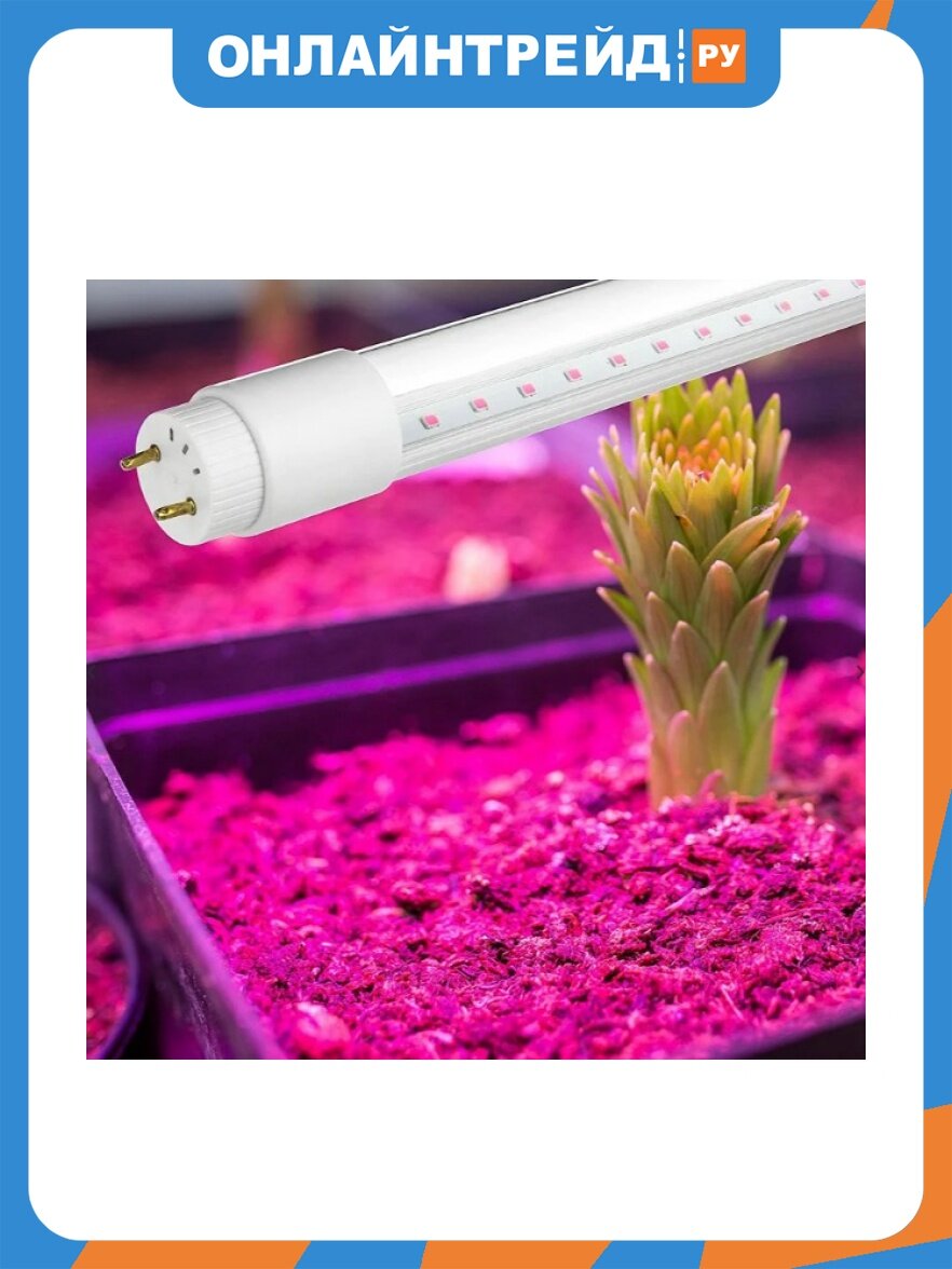 Лампа для растений Foton Lighting FOTON FL-LED T8- 1200 20W PLANTS G13 (220V - 240V, 20W, 1200mm)