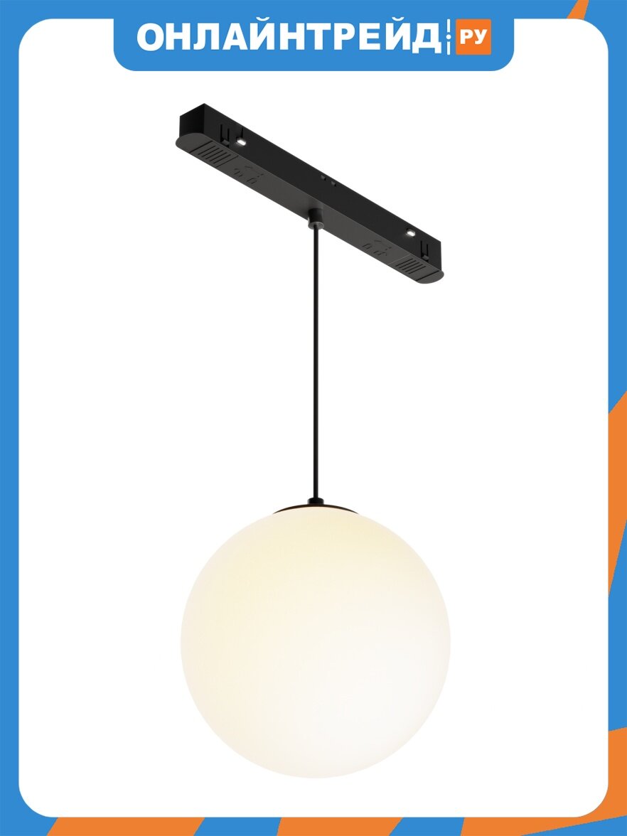 Трековый светодиодный светильник Maytoni Technical Luna TR039-2-5W3K
