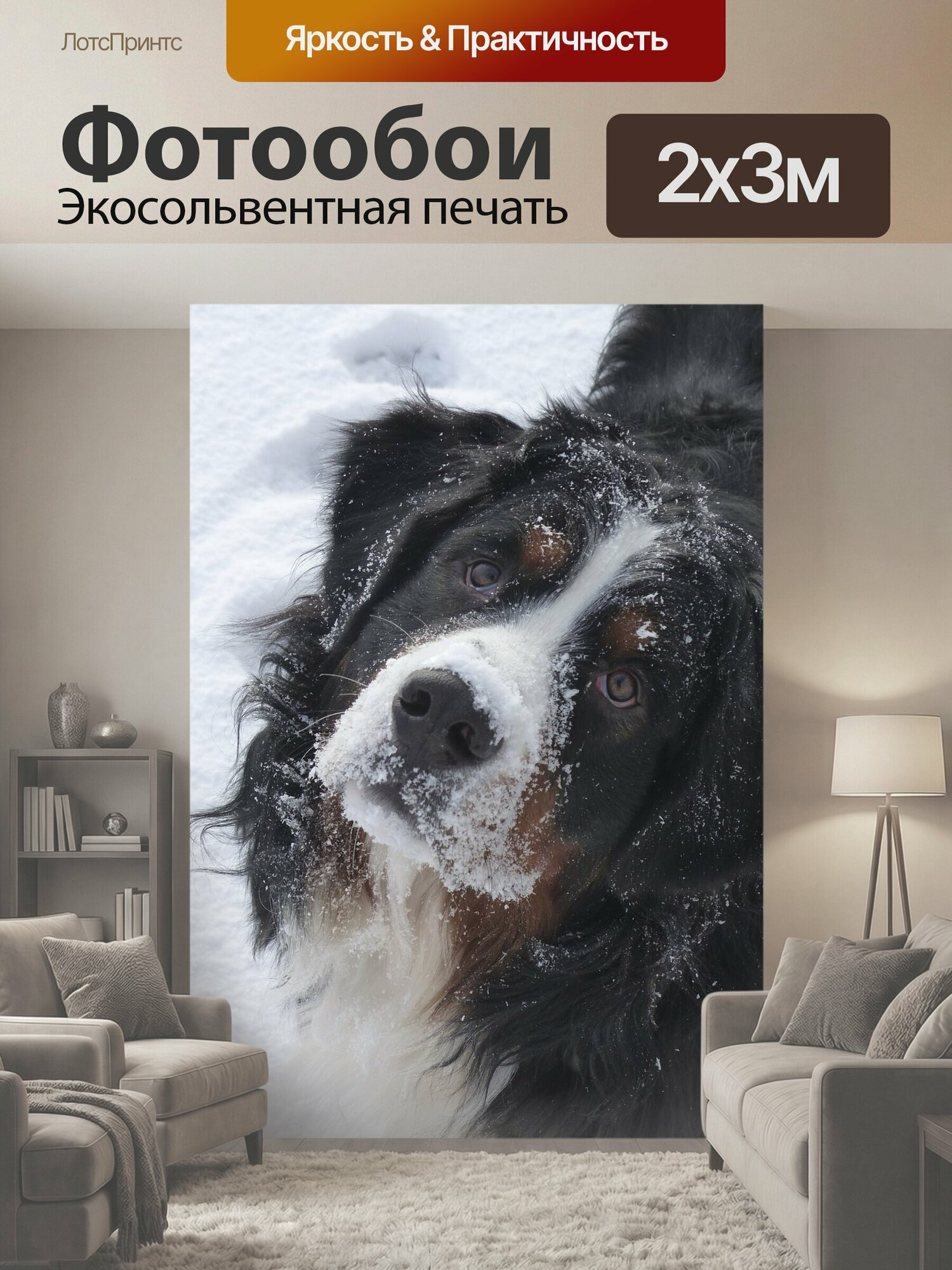 Фотообои "Собака, бернский зенненхунд, собачий" 200x300 см. экосольвентная печать