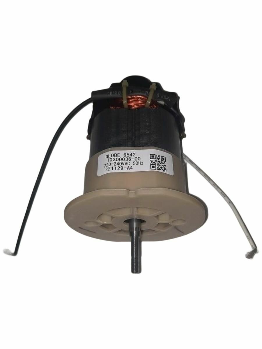 RA36101339B Мотор для 21277, 21217, GST5033M, триммера струнного 500ВТ, 220В, Greenworks RA36101339B