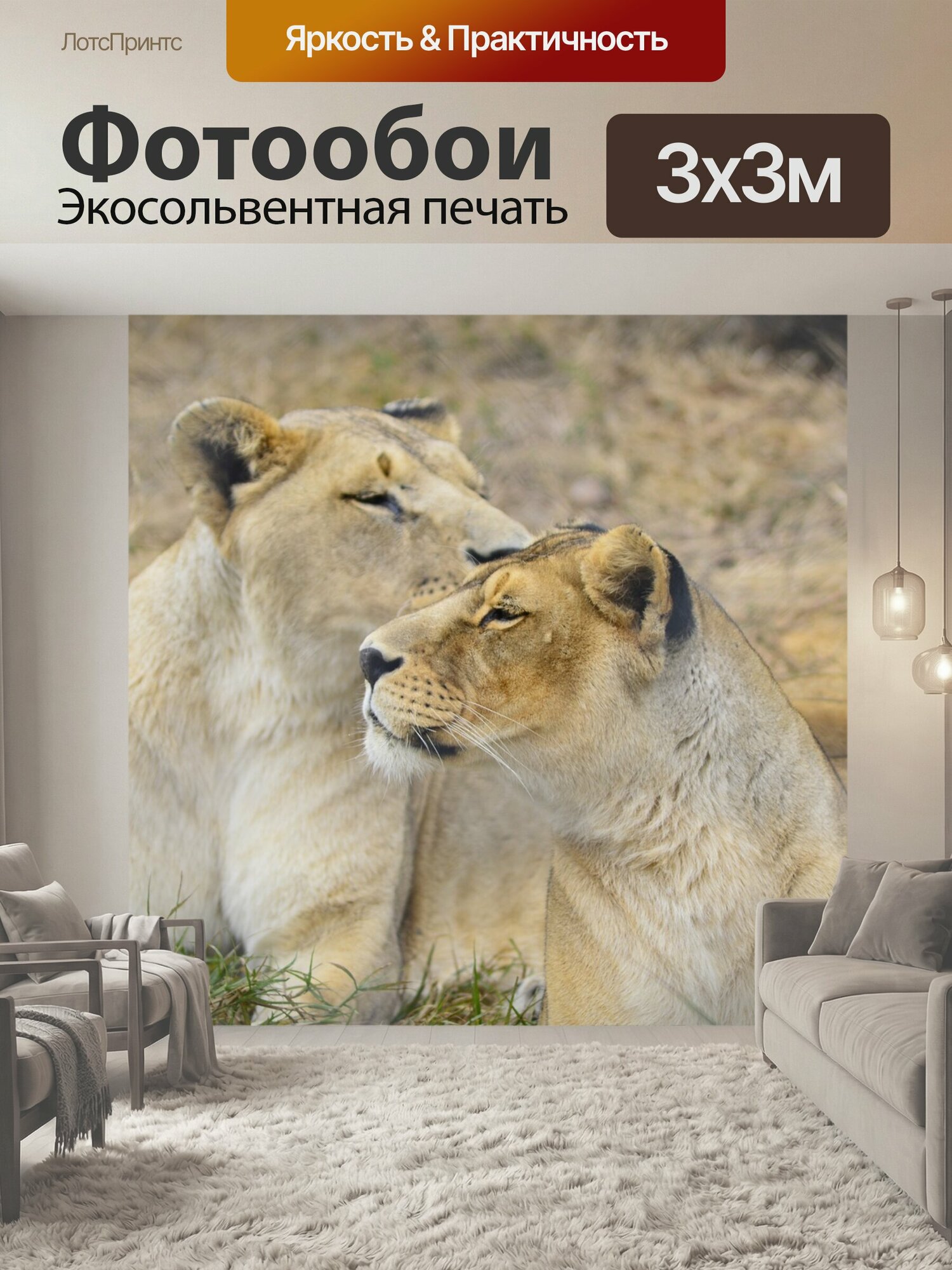 Фотообои "Львица, лев, африка" 300x300 см. экосольвентная печать