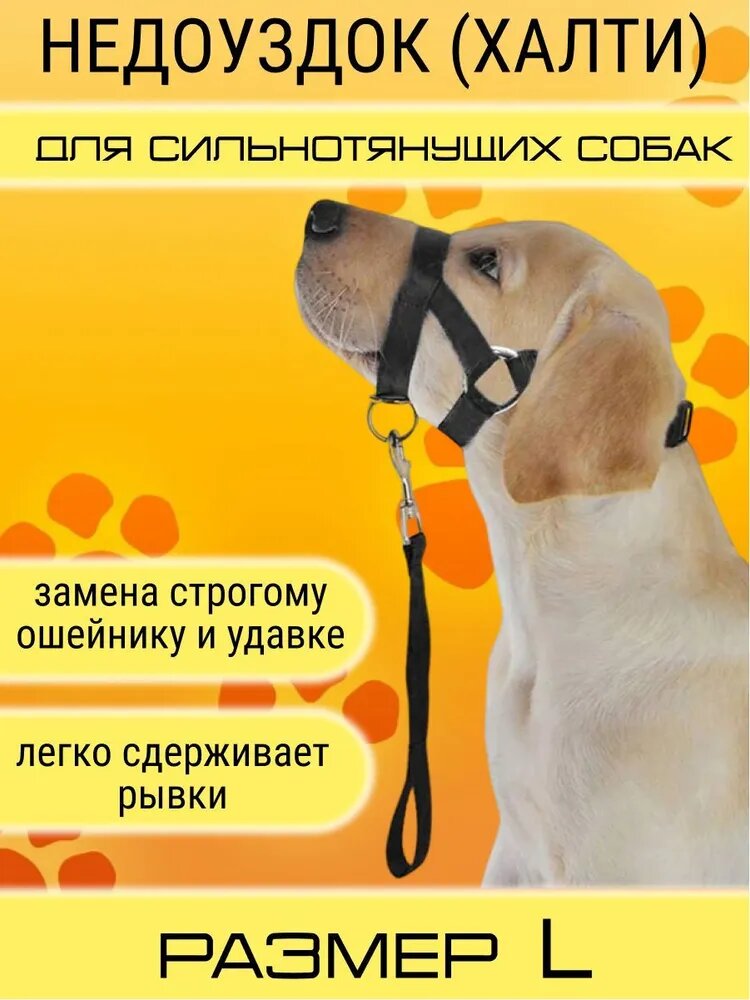 Недоуздок для собак крупных, средних, мелких пород / Намордник халти
