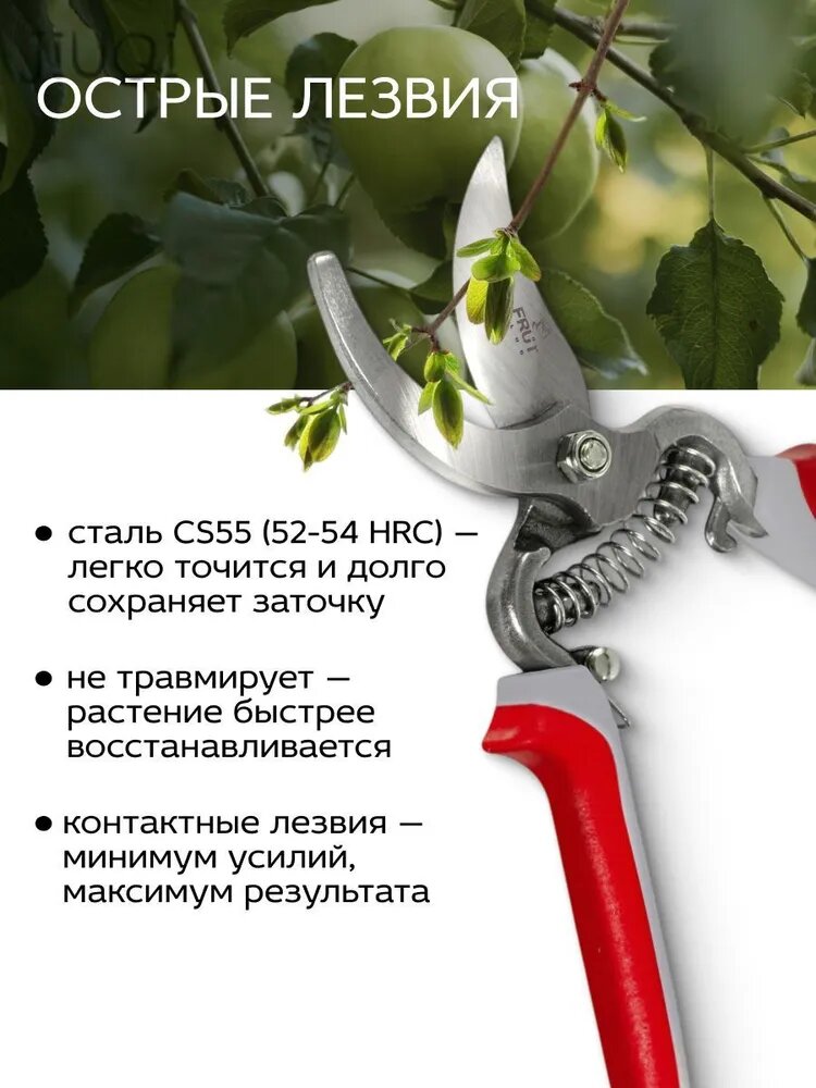 Секатор — фото 1