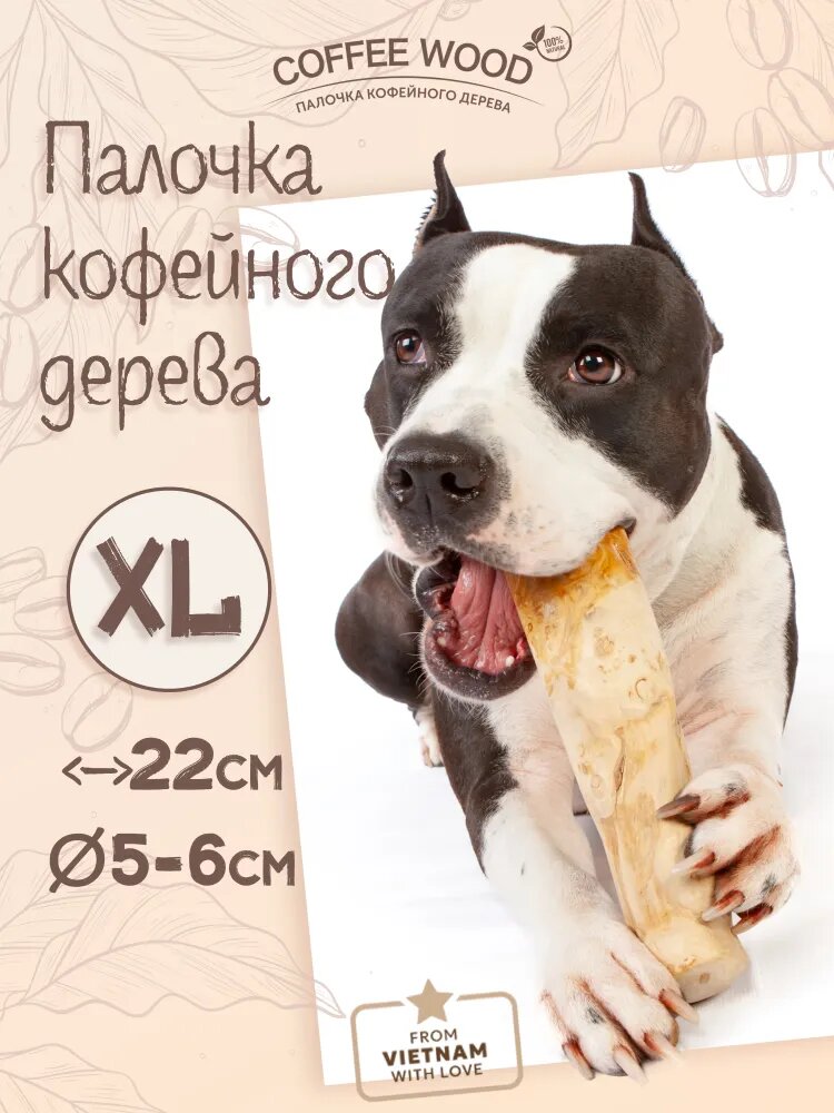 Игрушка для собак - палочка кофейного дерева Coffee Wood XL 22 см / Жевательное лакомство для чистки и здоровья зубов