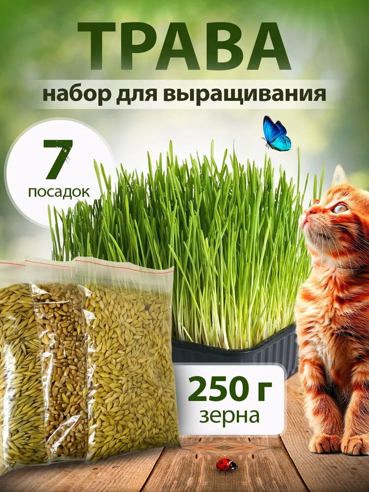 Трава для кошек. Набор для выращивания.