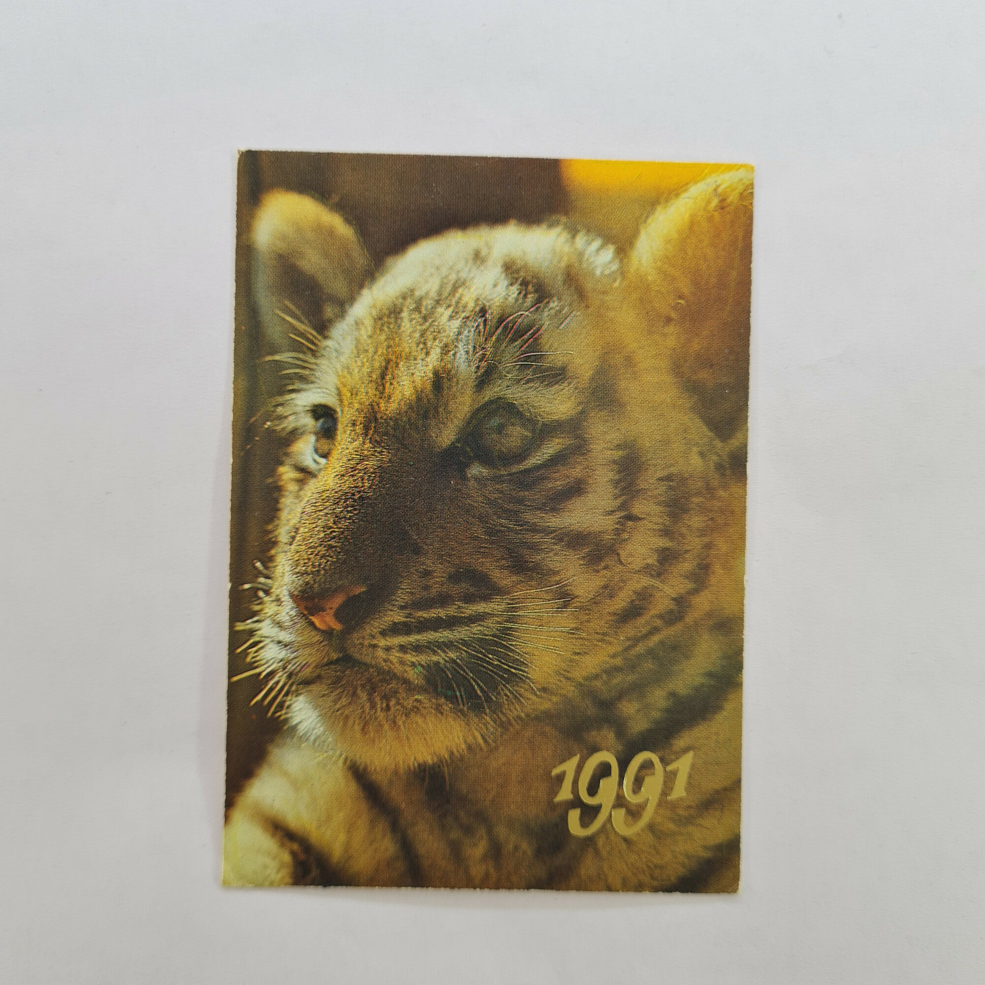 Карманный календарик СССР 1991. Тигренок, животные. Советский календарь фото И. Бавыкина