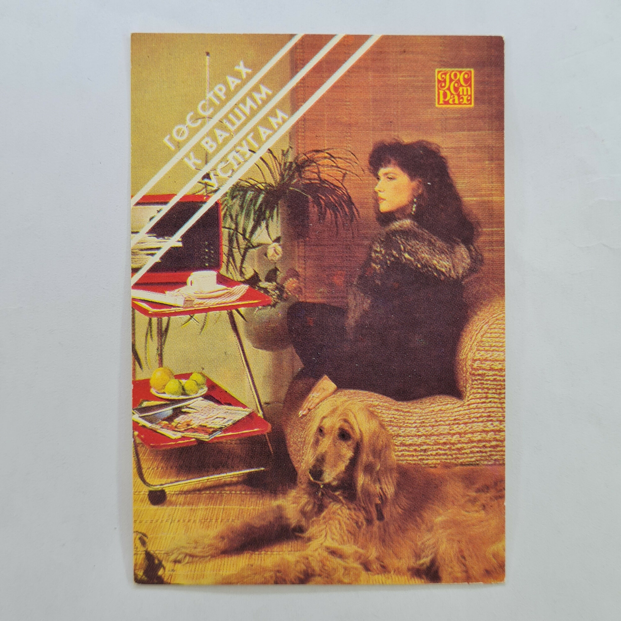 Карманный календарик СССР 1989. Гострах, девушка с собакой, бытовой сюжет. Советский календарь
