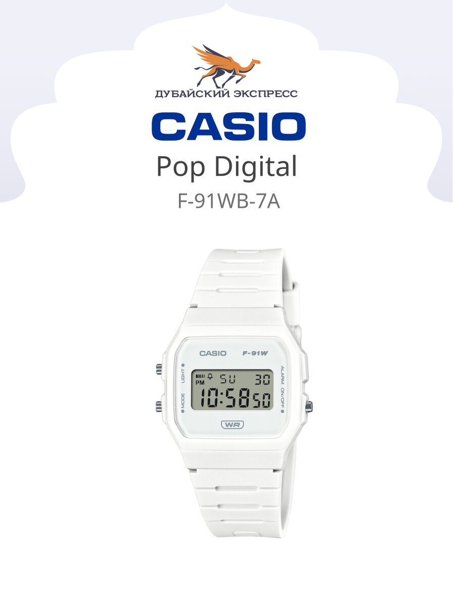  CASIO