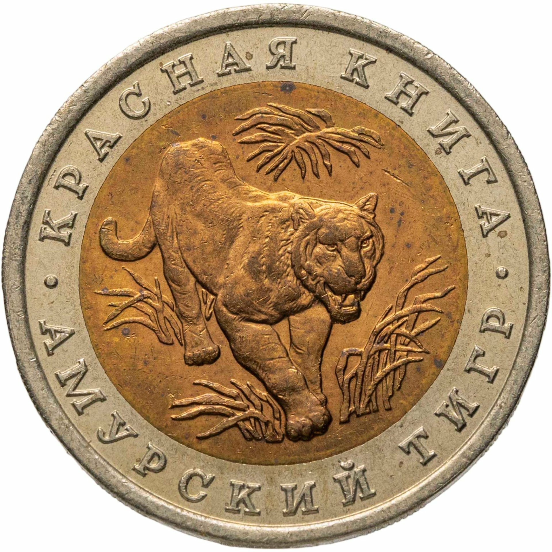10 рублей 1992 ЛМД "Амурский тигр", Биметалл, в сохранности AU-UNC