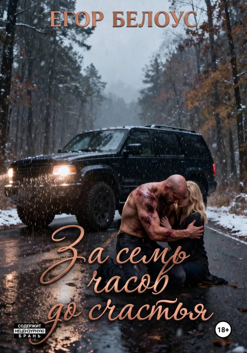 За семь часов до счастья [Цифровая книга]