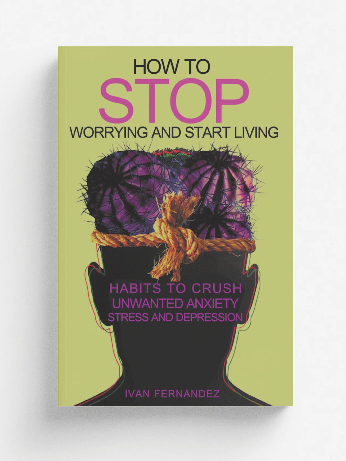 How to Stop Worrying and Start Living. Habits to Crush Unwanted Anxiety, Stress and Depression