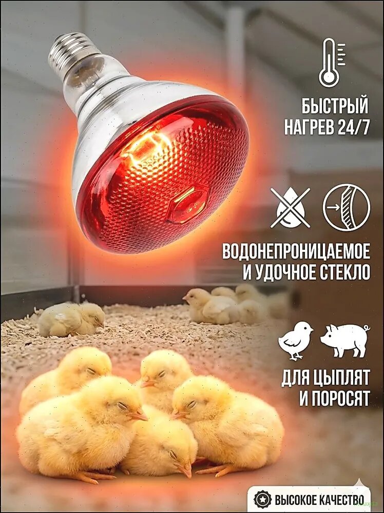 Инфракрасная лампа для курятника цыплят птиц животных 100W цоколь E27, 1 шт / Инфракрасная лампа для обогрева