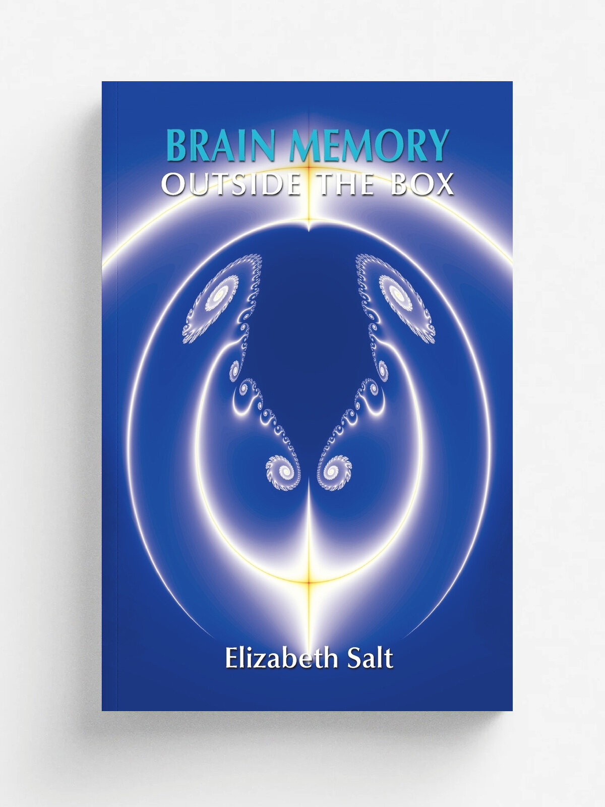 Brain Memory. Outside The Box