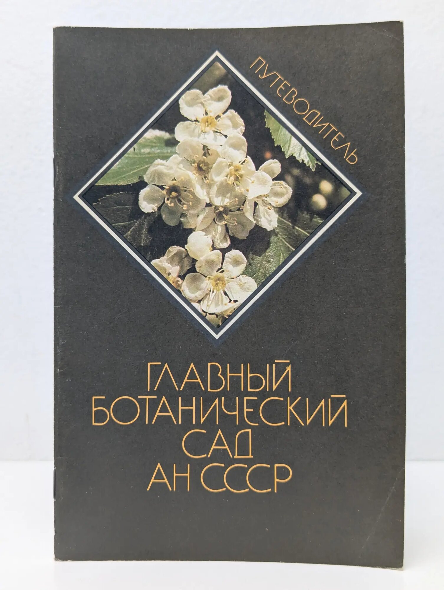 Главный ботанический сад АН СССР Сборник 1981