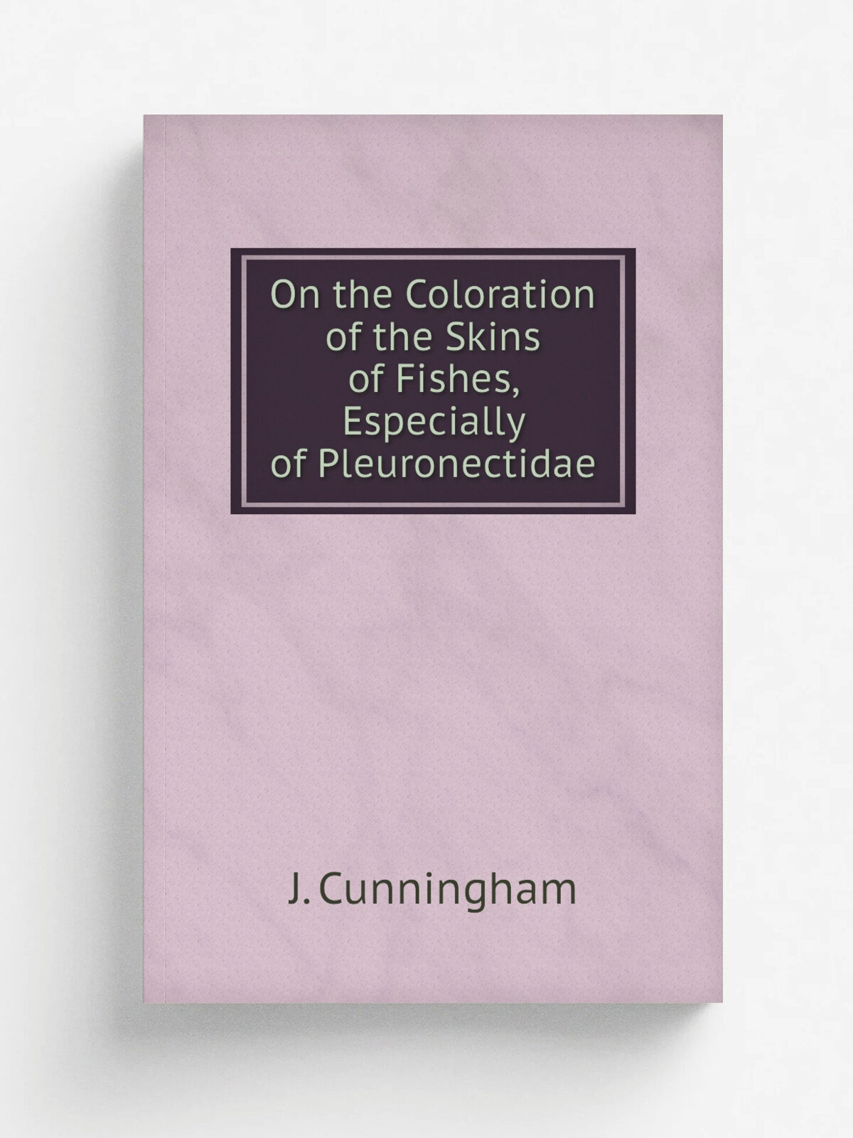 On the Coloration of the Skins of Fishes, Especially of Pleuronectidae