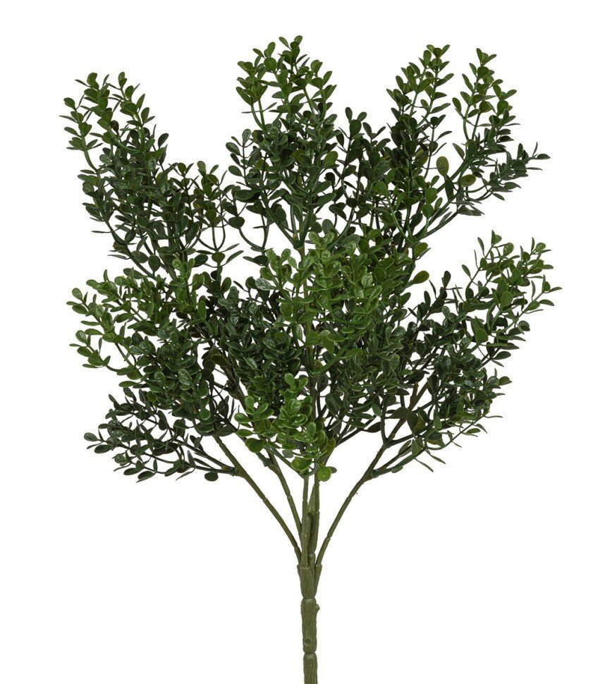Fiebiger Floristik 108538-800 Ветка декоративная "Самшит", 35 см